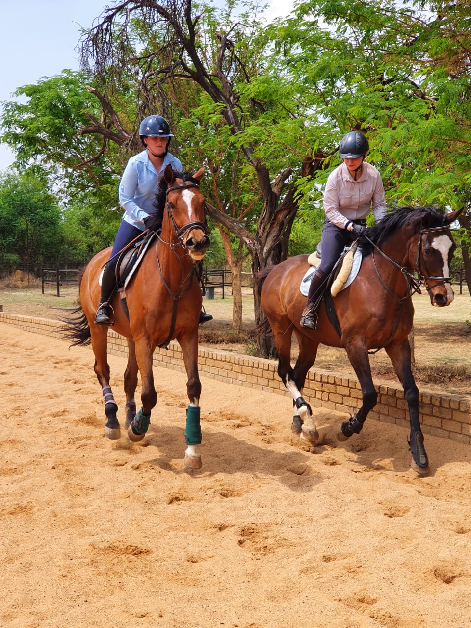 Home [www.countrysideequestrian.com]