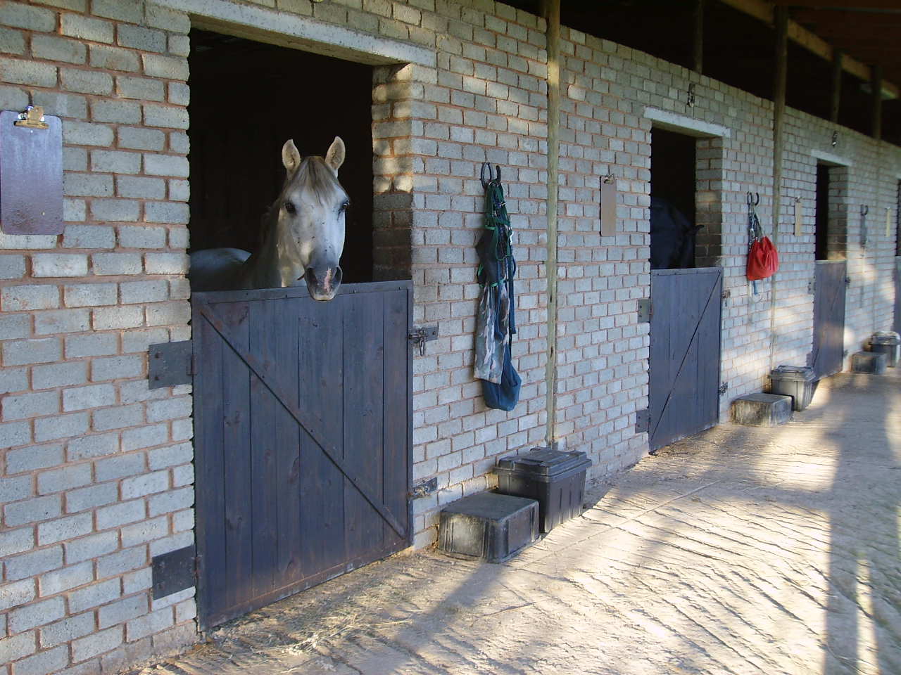 Home [www.countrysideequestrian.com]